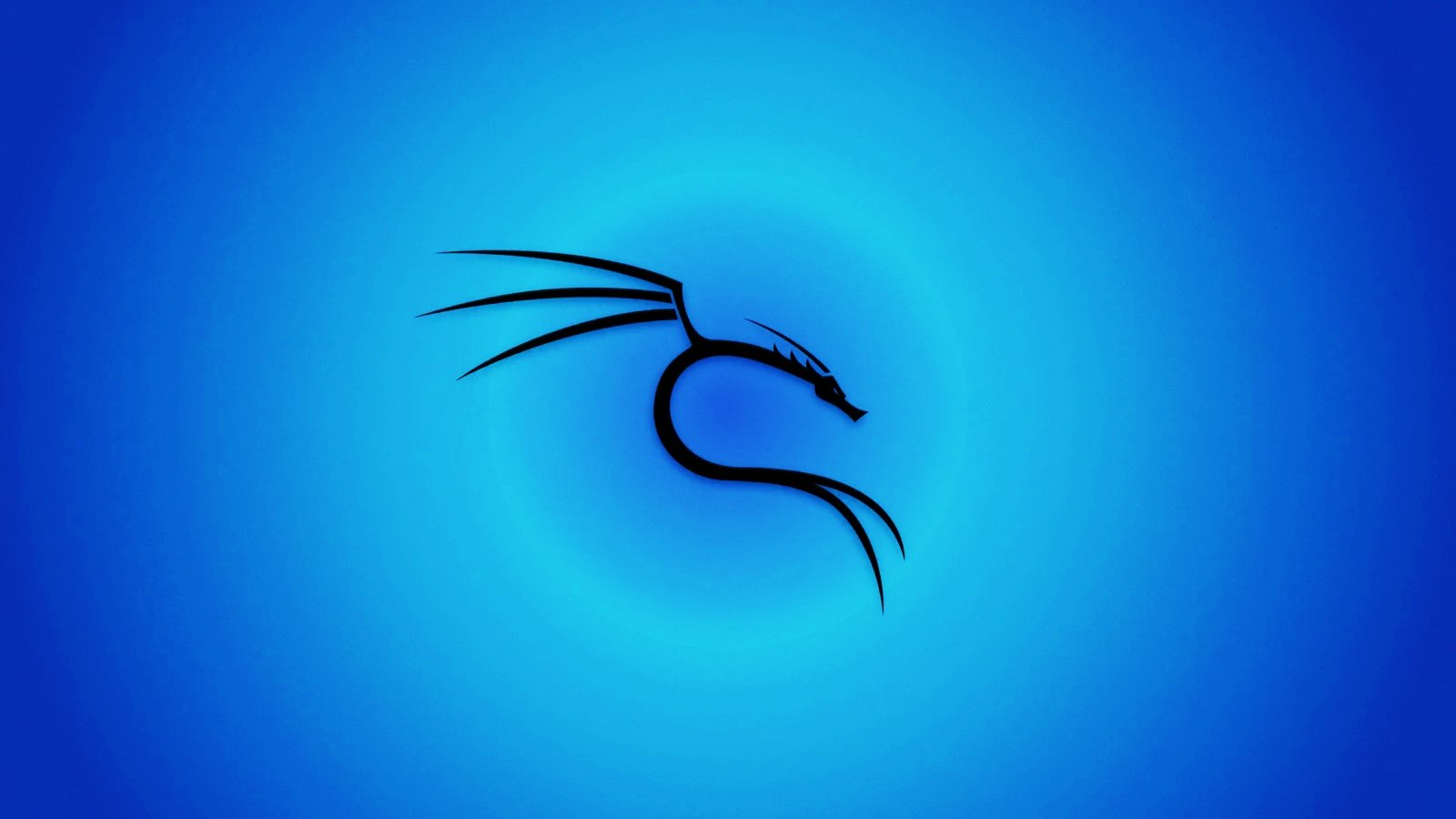 Kali Linux 2025.3 released with 10 new tools, Wi-Fi enhancements - PRSOL:CC